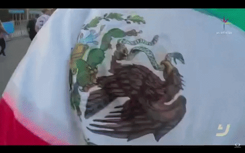 Copa Del Mundo Rusia 2018 GIF by MiSelecciónMX - Find & Share on GIPHY