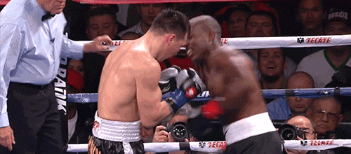 Boxing GIF - Find & Share on GIPHY