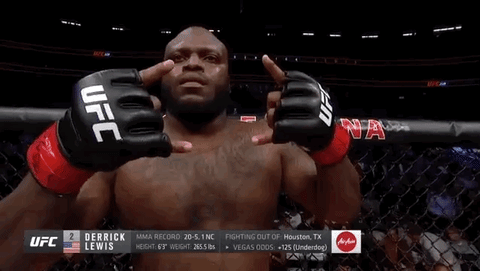 Ufc 229 Sport GIF by UFC - Find & Share on GIPHY