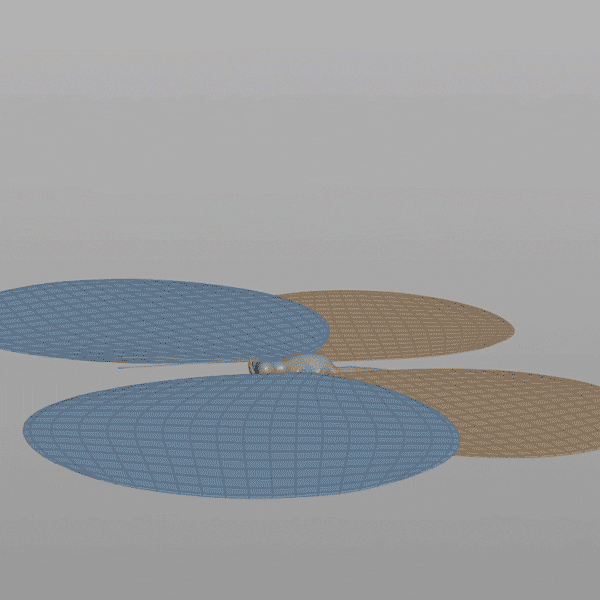 Wings Butterfly GIF by Woodblock - Find & Share on GIPHY