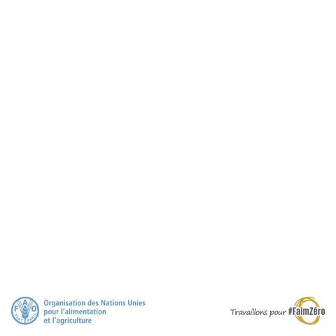 Onu GIFs - Get the best GIF on GIPHY