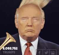 Comb Over Donald Trump GIF - Find & Share on GIPHY