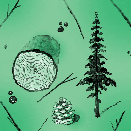 Happy Earth Day GIFs - Get the best GIF on GIPHY