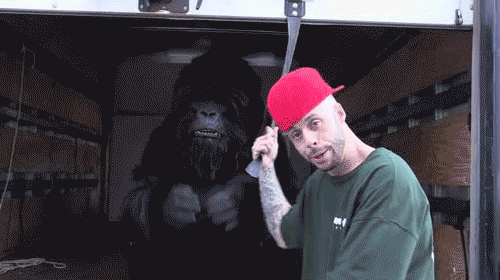 Cmt GIF by The Ed Bassmaster Show - Find & Share on GIPHY