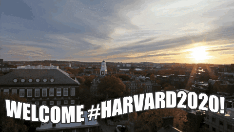 GIF by Harvard University - Find & Share on GIPHY