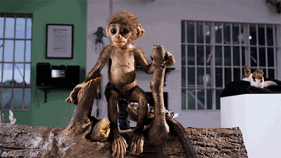 Spy In The Wild Robots GIF by ThirteenWNET - Find & Share on GIPHY