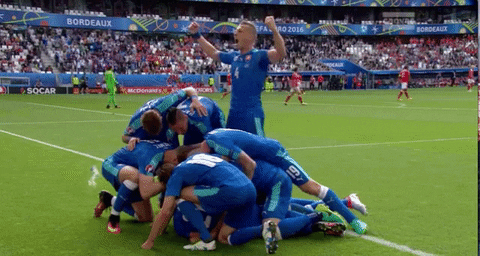 Euro 2016 GIF by Sporza - Find & Share on GIPHY