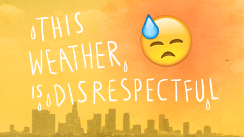 Weather Respect GIF by @SummerBreak - Find & Share on GIPHY