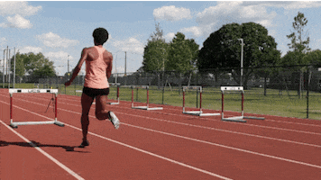 Harvard University GIFs | GIPHY