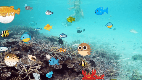 Marine Stewardship Council (MSC) GIF - Find & Share on GIPHY
