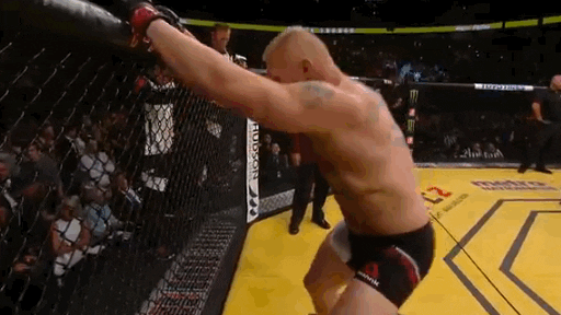 Brock Lesnar Ufc GIF - Find & Share on GIPHY