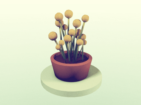 Animation Pot GIF by DLGNCE - Find & Share on GIPHY
