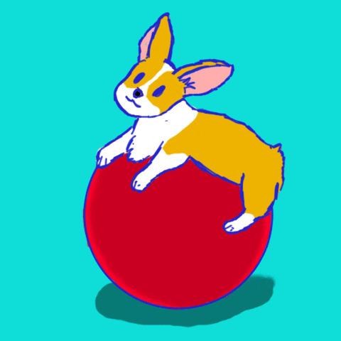 Playing Pembroke Welsh Corgi GIF by NeonMob - Find & Share on GIPHY