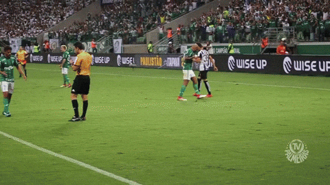 Felipe Melo Raã§A GIF by SE Palmeiras - Find & Share on GIPHY
