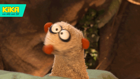 Confused Hide And Seek GIF by KiKA - Find & Share on GIPHY