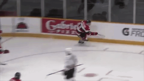 Hockey Ohl GIF by Ottawa 67's - Find & Share on GIPHY