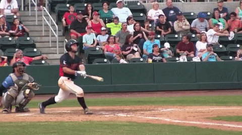 Home Run Baseball GIF - Find & Share on GIPHY