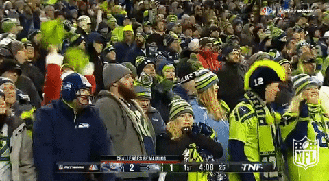 Seattle Seahawks Nfl Fans GIF by NFL - Find & Share on GIPHY