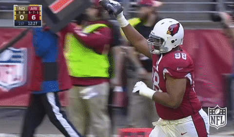 Arizona Cardinals Football GIF by NFL - Find & Share on GIPHY