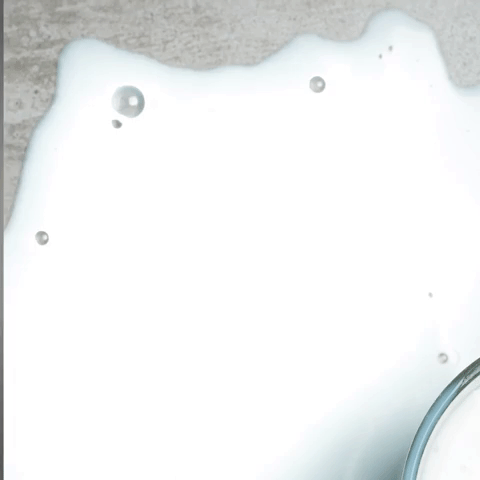 Black Caviar GIF by Casablanca Records - Find & Share on GIPHY