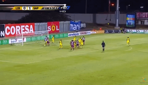 Animated GIF - Find & Share on GIPHY