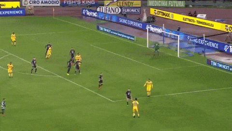 Goal Save GIF by nss sports - Find & Share on GIPHY