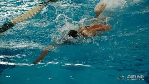 Athletics Swimming GIF by GreenWave - Find & Share on GIPHY
