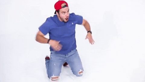 Foca GIF by Luccas Neto - Find & Share on GIPHY