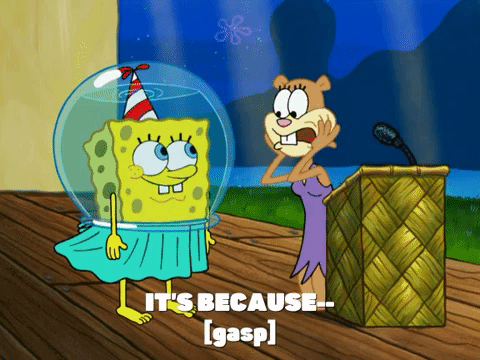 Season 6 Gullible Pants GIF by SpongeBob SquarePants - Find & Share on ...
