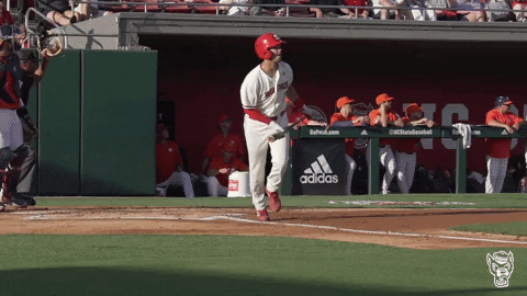 Nc State Wilson GIF by NC State Athletics - Find & Share on GIPHY