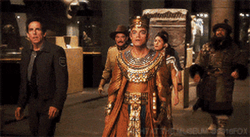 Night At The Museum Omg GIF by 20th Century Fox Home Entertainment ...