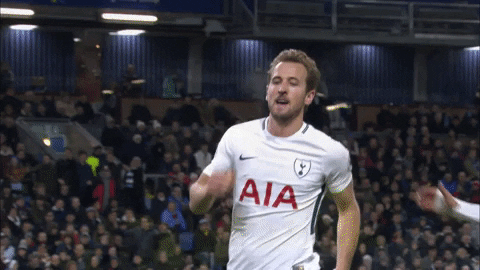 London Football GIF by Tottenham Hotspur - Find & Share on GIPHY