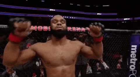 Intimidating Ufc 209 GIF - Find & Share on GIPHY