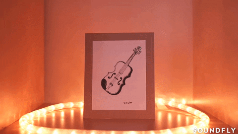 String Quartet Bass GIF by Soundfly - Find & Share on GIPHY