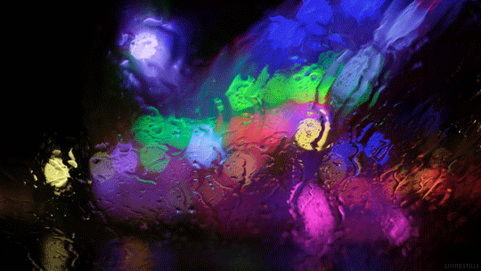 Photography GIF by Living Stills - Find & Share on GIPHY