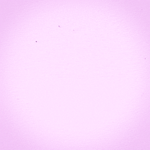 Spin Rotate GIF by Erica Anderson - Find & Share on GIPHY