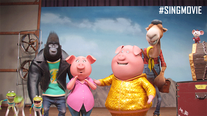 Sing Movie GIFs - Find & Share on GIPHY