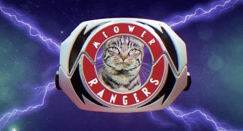 Mighty Morphin Power Rangers Cat GIF by Power Rangers - Find & Share on ...