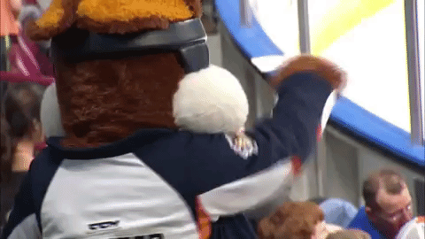 Hockey Mascot GIF by Greenville Swamp Rabbits - Find & Share on GIPHY