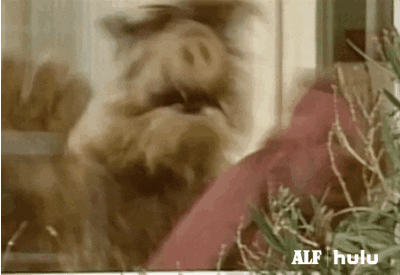 Alf Lionsgate GIF by HULU - Find & Share on GIPHY