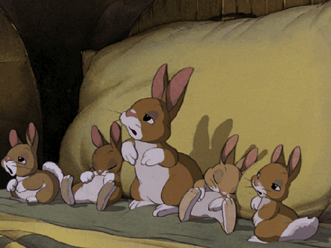 - Find & Share on GIPHY