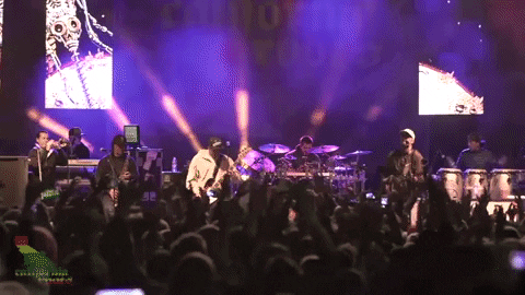 Hands Up Festival GIF by Slightly Stoopid - Find & Share on GIPHY