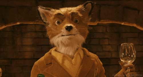 Fantastic Mr Fox Smile GIF by 20th Century Fox Home Entertainment ...