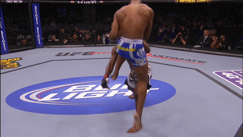 Mma GIF by UFC - Find & Share on GIPHY