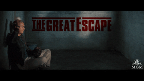 giphy.gif (500×281) | The great escape, Greatful, Epic film