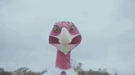 People-Vultures GIF by King Gizzard & The Lizard Wizard - Find & Share ...