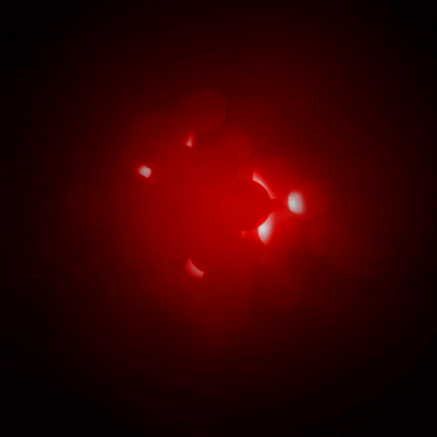 Loop GIF - Find & Share on GIPHY