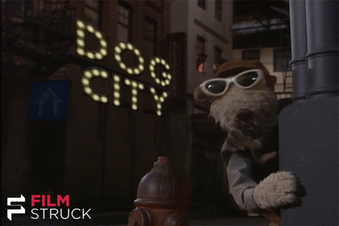 Jim Henson Dogs GIF by FilmStruck - Find & Share on GIPHY
