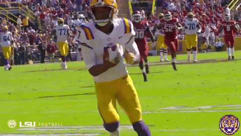 College Sports Sport GIF by LSU Tigers - Find & Share on GIPHY