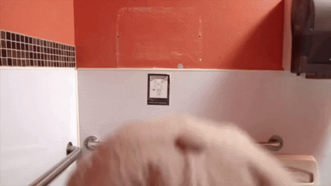 Made It Toilet GIF by Jason Mraz - Find & Share on GIPHY